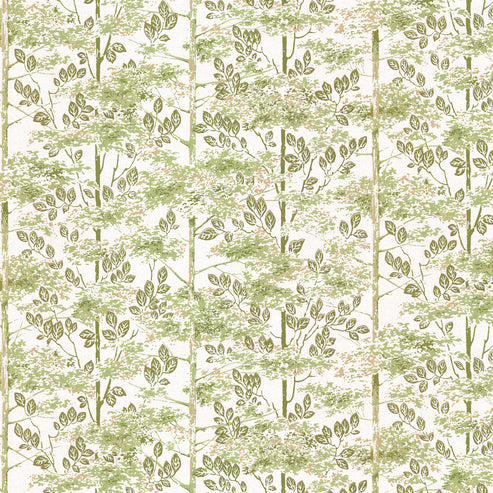 Aspen Tree Botanical - 1960s Retro Vintage Wallpaper Reproduction ...